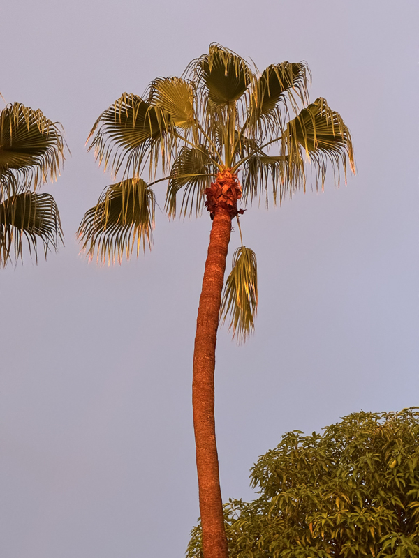 Orange Sky at Night – pamibe